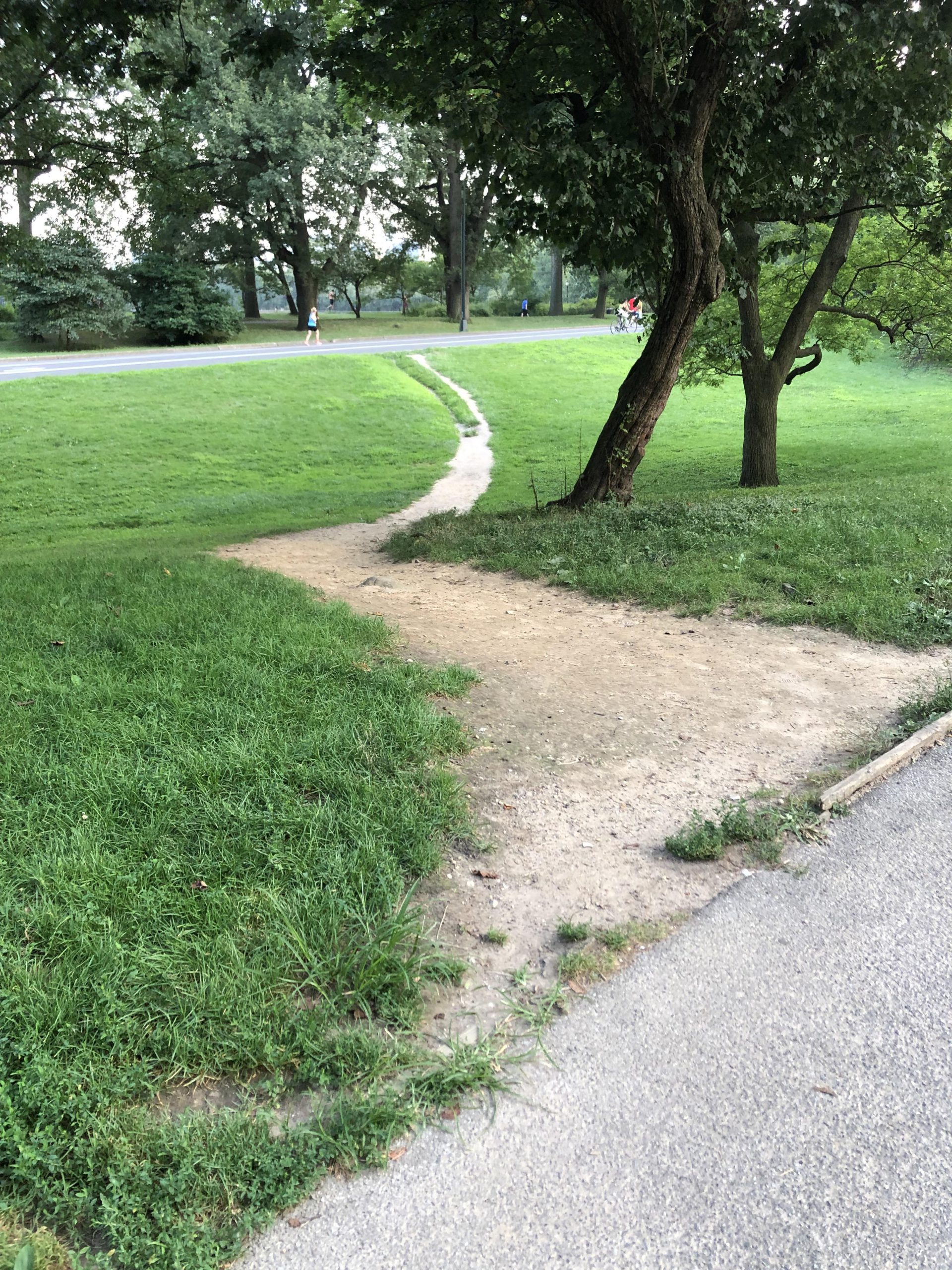 Cosa sono i Desire Path? – Outpump