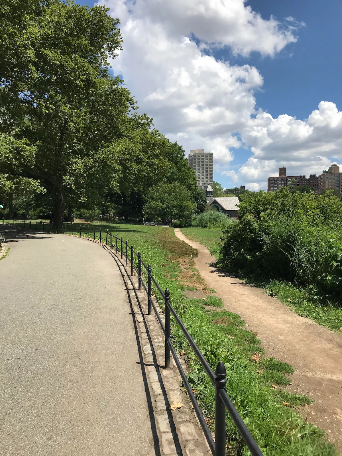 Cosa sono i Desire Path? – Outpump